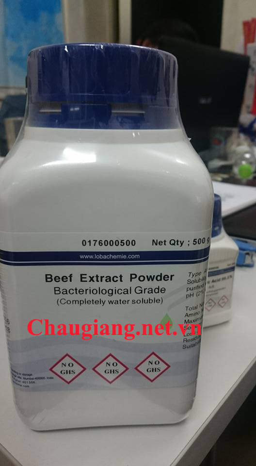 Beef Extract Powder - CÔNG TY TNHH THIẾT BỊ VÀ CÔNG NGHỆ CHÂU GIANG